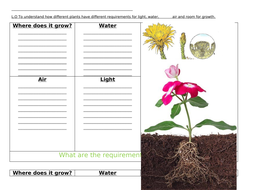 Science Plants/Flowers Unit LKS2 Year 3 Year 4 objectives | Teaching ...