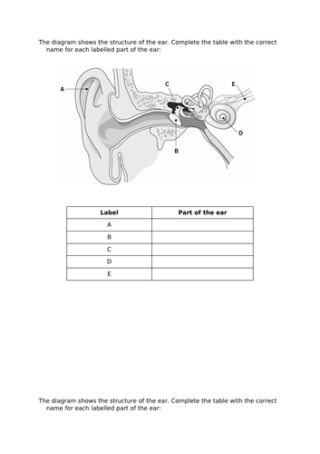 Sound lessons - Year 7 Activate scheme of work | Teaching Resources