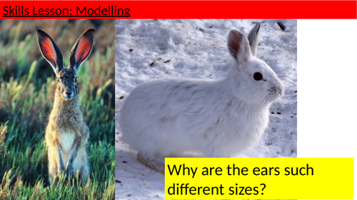 KS3-KS4 Skills lessons- How Science Works | Teaching Resources