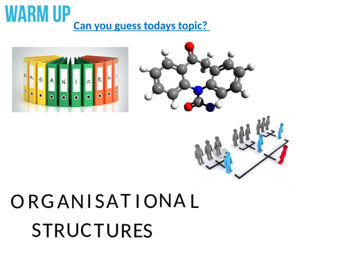Organisation Structures GCSE Business 9-1 | Teaching Resources
