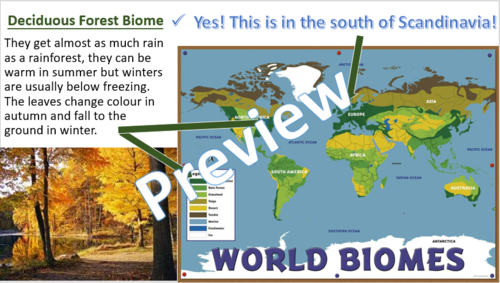 Scandinavia Biomes Lesson 2 | Teaching Resources