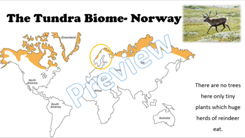 Scandinavia Biomes Lesson 2 | Teaching Resources