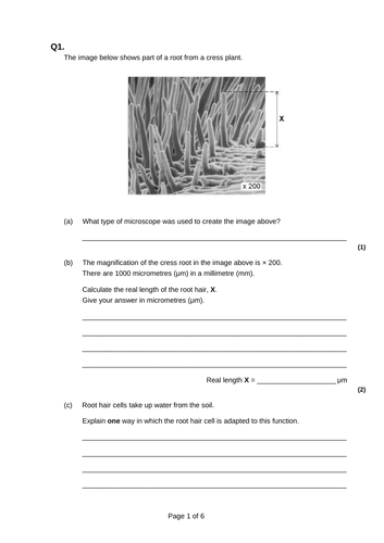 9-1 AQA GCSE Biology - U1 L4 Microscopy | Teaching Resources