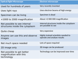 9-1 AQA GCSE Biology - U1 L4 Microscopy | Teaching Resources