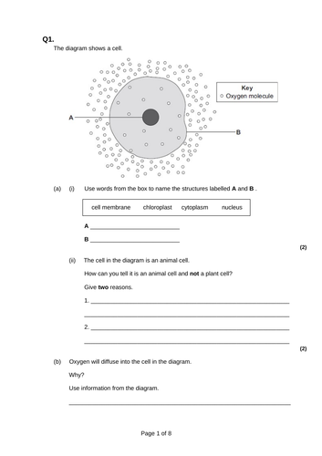 9-1 AQA GCSE Biology - U1 L6 Cell Transport | Teaching Resources