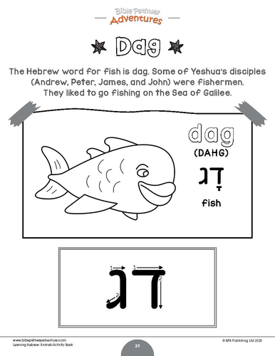 Learning Hebrew: Animals Activity Book | Teaching Resources