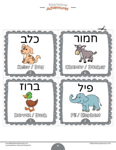 Learning Hebrew: Animals Activity Book | Teaching Resources