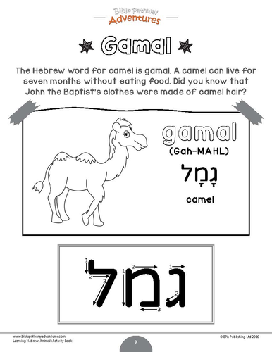 Learning Hebrew: Animals Activity Book | Teaching Resources