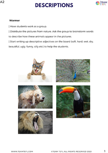 Descriptions A2 ESL Lesson Plan | Teaching Resources