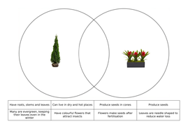 Living things and their habitats - Classification (grouping of plants ...