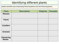 Living things and their habitats - Classification (grouping of plants ...