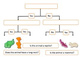 Living things and their habitats - producing simple Identification keys ...