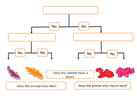 Living things and their habitats - producing simple Identification keys ...