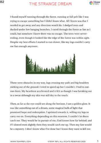 Past Perfect ESL TEFL Lesson Plan Worksheet B2 | Teaching Resources