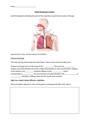 AQA 9-1 GCSE PE Revision Booklet- Cardio-Respiratory System | Teaching ...