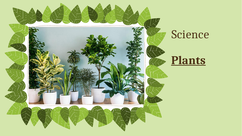 Year 1/Year 2- PLANTS- Whole Science Unit Term- Planning, PowerPoint ...