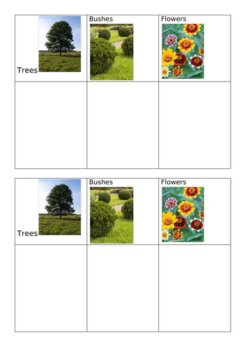 Year 1/Year 2- PLANTS- Whole Science Unit Term- Planning, PowerPoint ...