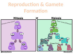 9-1 AQA GCSE Biology - U6 L1 Reproduction and Gamete Formation ...