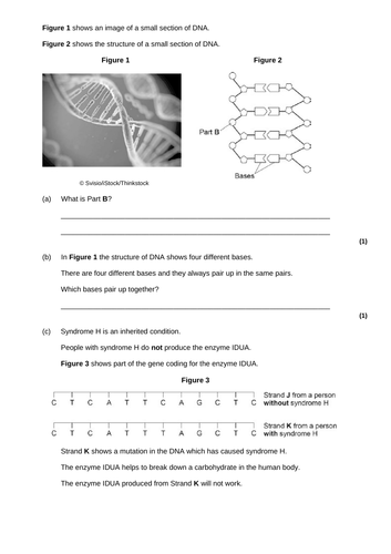 9-1 AQA GCSE Biology - U6 L3 DNA and The Genome | Teaching Resources