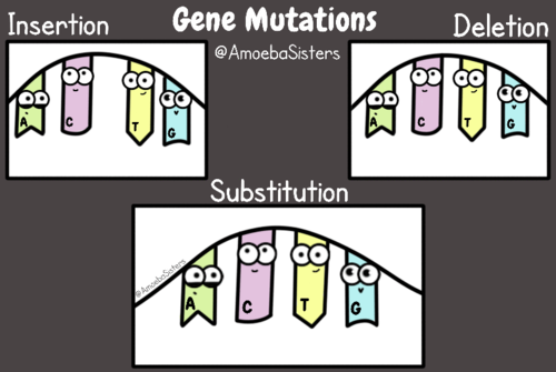 9-1 AQA GCSE Biology - U6 L3 DNA and The Genome | Teaching Resources
