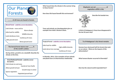 Our Planet - Forest Documentary | Teaching Resources