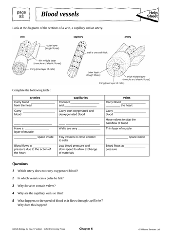 AQA 9-1 NEW GCSE B4.1 ORGANISING ANIMALS AND PLANTS LESSON 2 BLOOD ...
