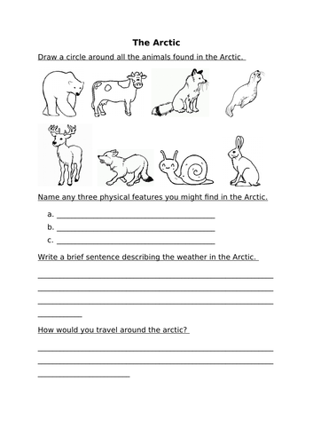 Arctic Worksheet | Teaching Resources