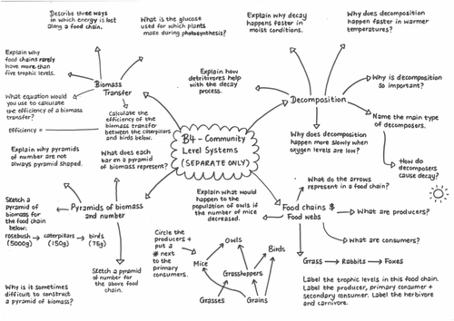 B4 Biology Revision Mindmap | Teaching Resources B4 Biology Revision Mindmap | Teaching Resources