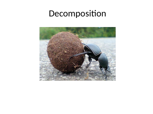 9-1 AQA GCSE Biology - U7 L5.1 5.2 Decomposition and Environmental ...