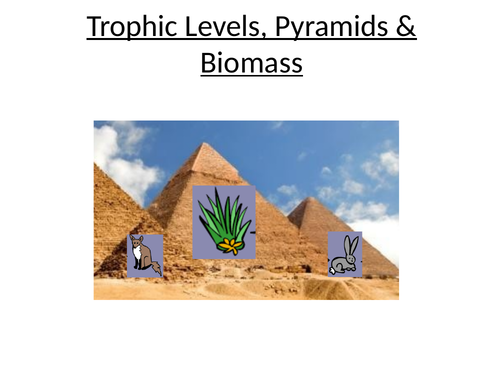 9-1 AQA GCSE Biology - U7 L11 (T) Trophic Levels and Pyramids of ...