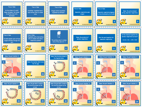 Respiration Board Game GCSE (9-1) KS4 | Teaching Resources