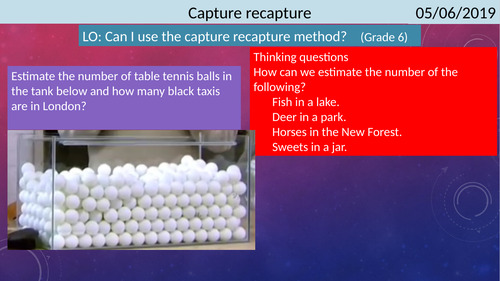 Capture recapture Outstanding lesson | Teaching Resources