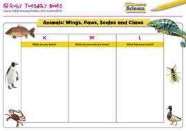 KWL grid - Animals (wings, paws, scales and claws) | Teaching Resources