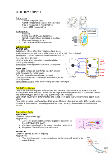 Biology AQA GCSE topic 1 WITH required practicals | Teaching Resources