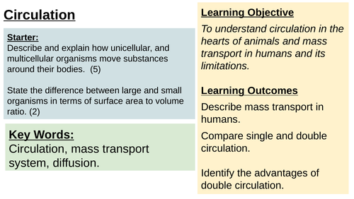 IAS / IAL Edexcel Biology Unit 1 Topic 1: Circulation | Teaching Resources