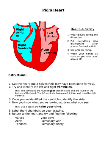 IAS / IAL Edexcel Biology Unit 1 Topic 1: Blood vessels & heart ...
