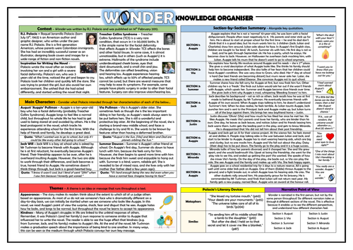 Wonder Big Bundle! | Teaching Resources