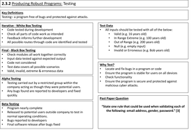 2.3 Producing Robust Programs Summary Sheet | Teaching Resources