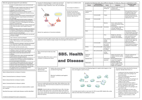 Health and Disease Revision Mat Workshet (SB5 Edexcel) | Teaching Resources