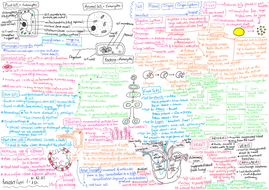Biology Paper 1 Revision Mat AQA Trilogy Foundation | Teaching Resources