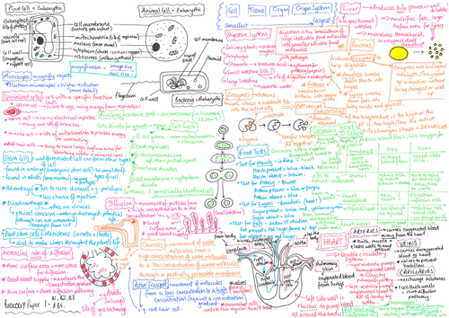 Biology Paper 1 Revision Mat AQA Trilogy Foundation | Teaching Resources