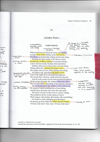 CIE English Literature GCSE Songs of Ourselves Volume 2 Part 2 ...