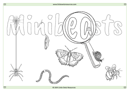 Minibeasts Colouring Sheets | Teaching Resources