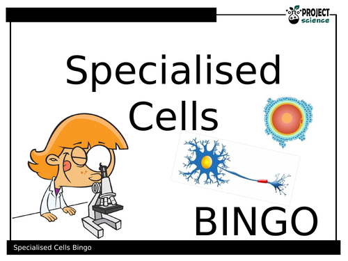 Specialised Cells Bingo | Teaching Resources