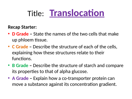 Translocation - OCR AS/A Level Biology | Teaching Resources Translocation - OCR AS/A Level Biology | Teaching Resources