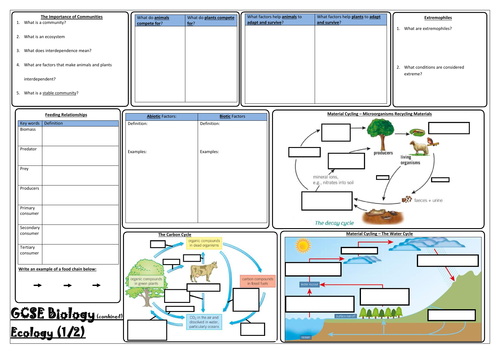 AQA GCSE Biology (9-1) - Paper 2 Revision Mats - Combined Sciences ...
