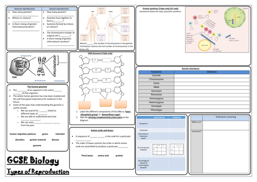 AQA GCSE Biology (9-1) - Paper 2 Revision Mats - Triple Sciences (Biology Only) | Teaching Resources