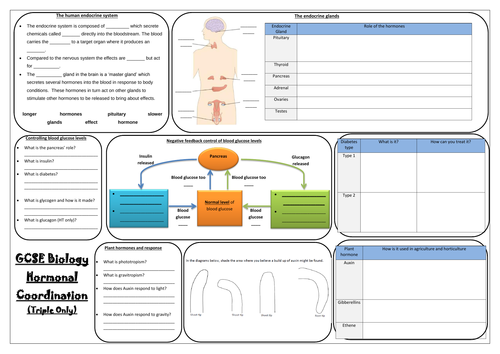 AQA GCSE Biology (9-1) - Paper 2 Revision Mats - Triple Sciences ...