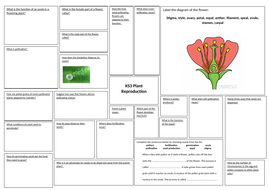 KS3 Year 7 Revision Mats - science | Teaching Resources