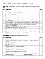 SPaG Ninja - Ten minute revision tests. | Teaching Resources